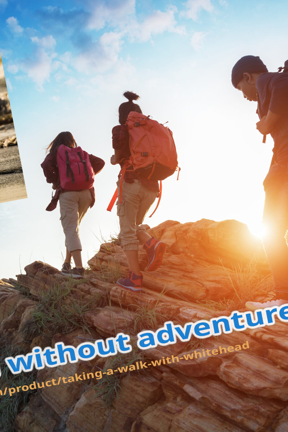 Taking a Walk with Whitehead – Energion Direct